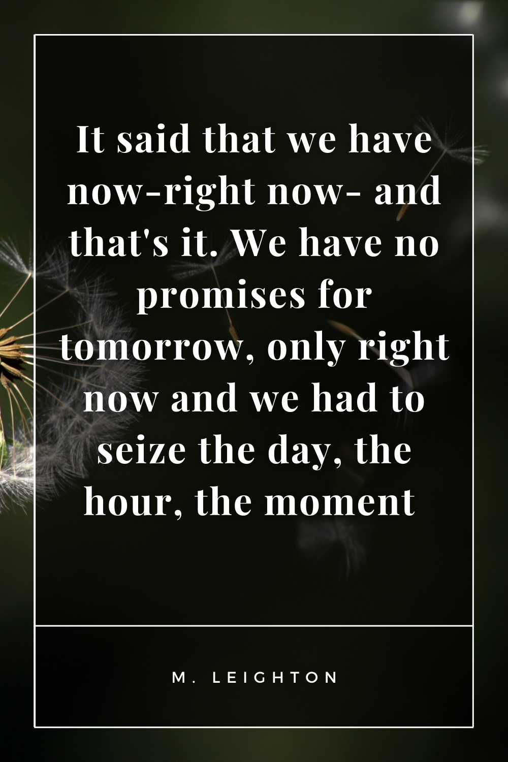 90+ Tomorrow is Not a Promise Quotes & Sayings