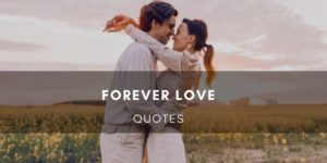 99+ Forever Love Quotes & Sayings That Will Touch Your Soul