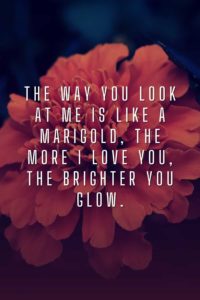 30+ Beautiful Marigold Flower Quotes and Captions