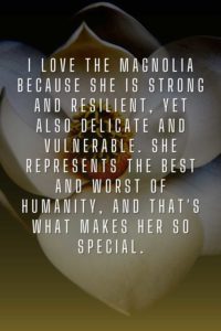 30+ Beautiful Magnolia Tree and Flower Quotes & Captions