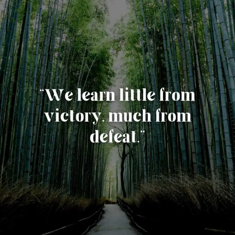 60+ Wise Japanese Sayings About Life That'll Make You Think