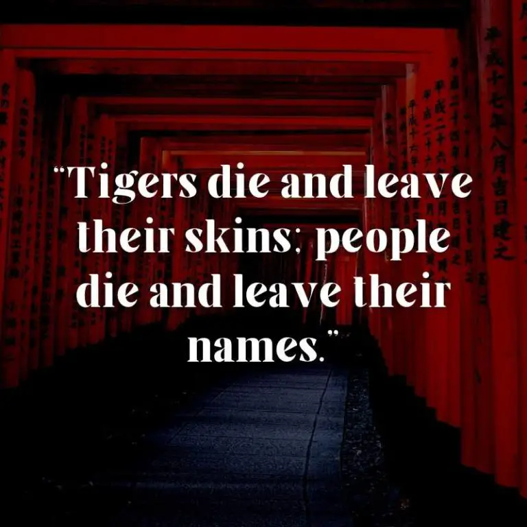 60+ Wise Japanese Sayings About Life That'll Make You Think