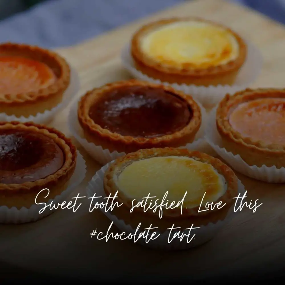 130+ Delicious Chocolate Tart Captions for Instagram Photos