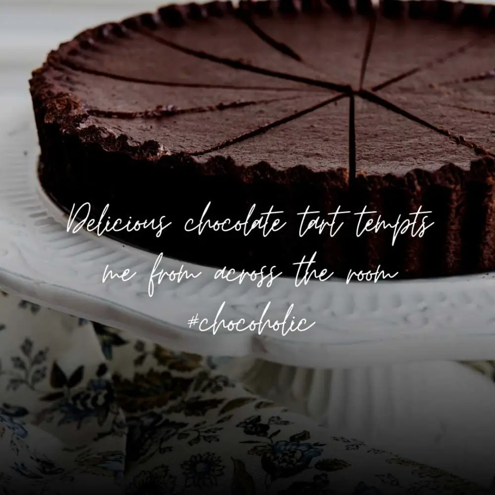 130+ Delicious Chocolate Tart Captions for Instagram Photos