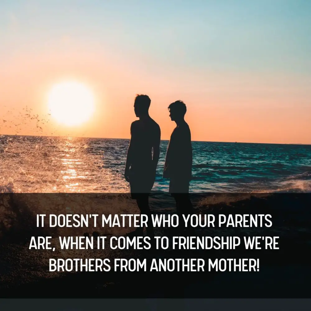 70+ Brother from Another Mother Quotes to Celebrate Brotherhood